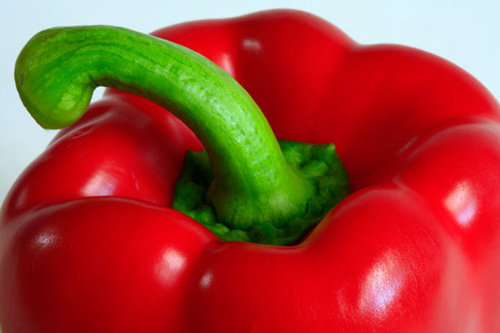 Ken Leslie Photography: Pepper Close Up